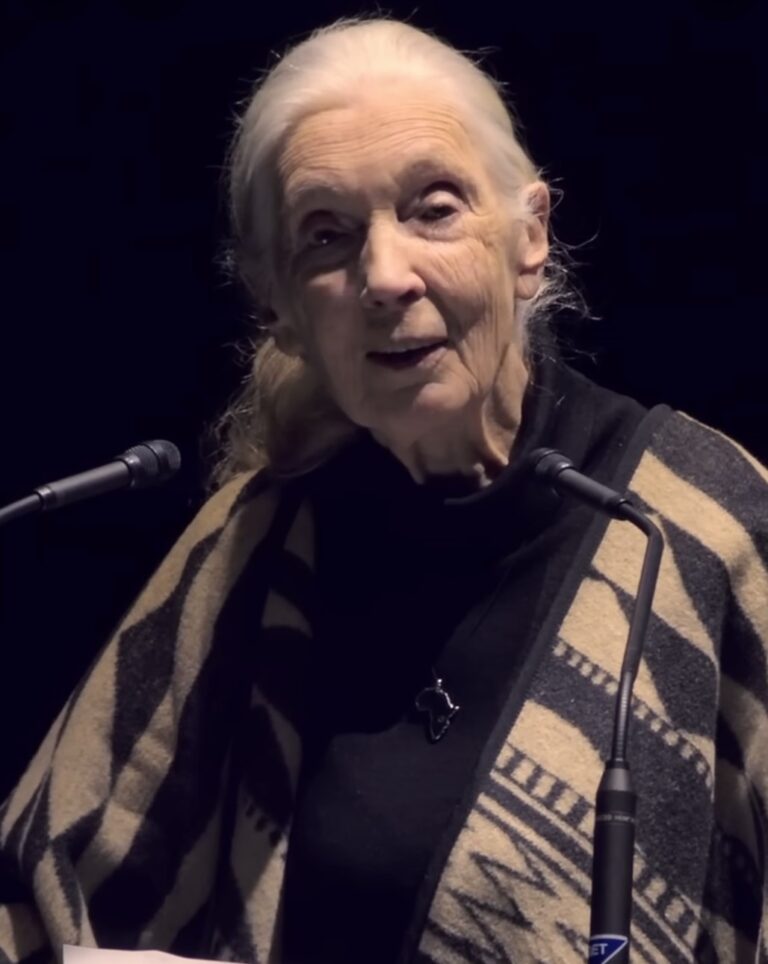 Jane Goodall: A Trailblazer Who Redefined Science and Inspired ...